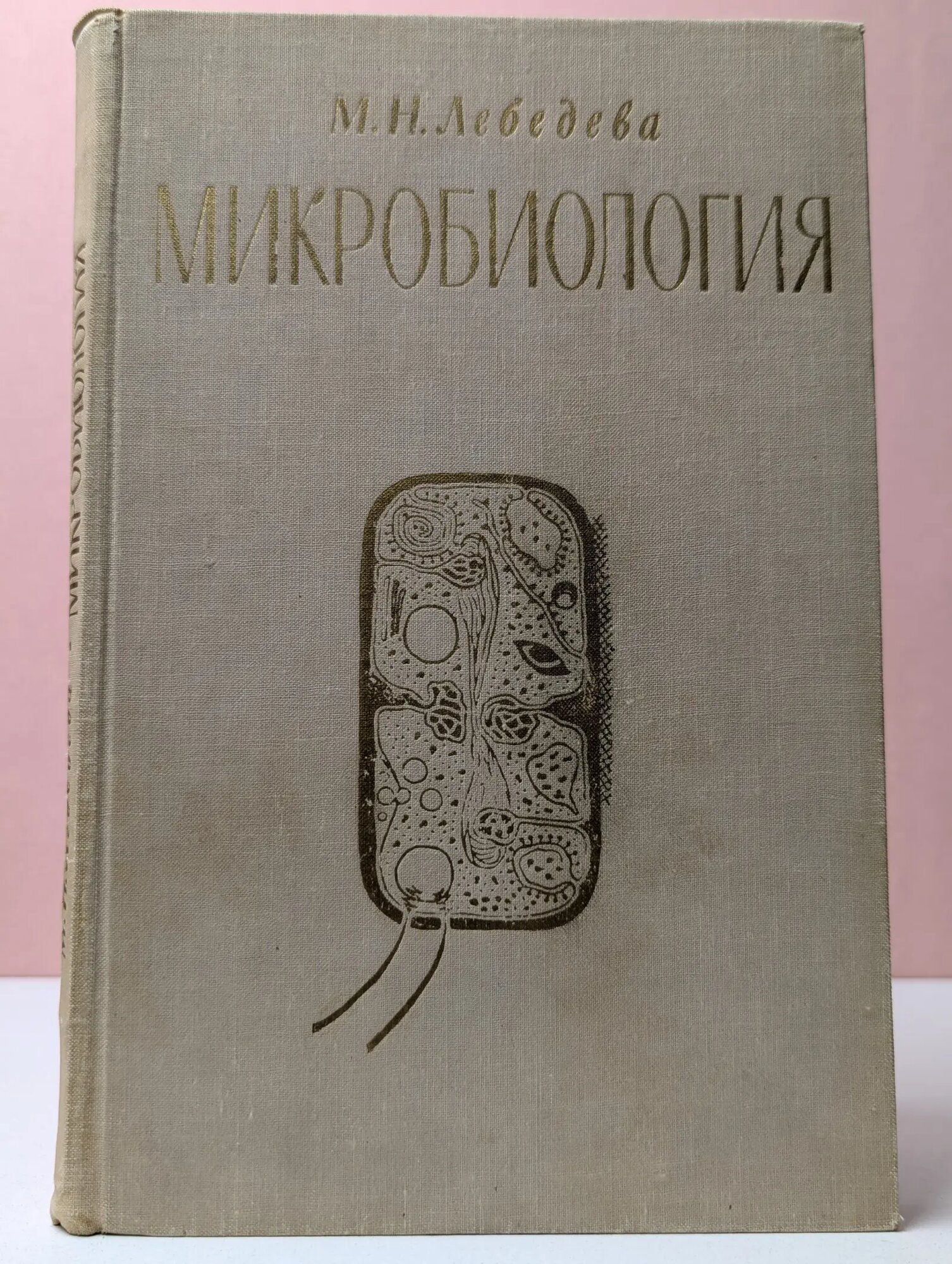 Микробиология Лебедева Мария Николаевна 1969