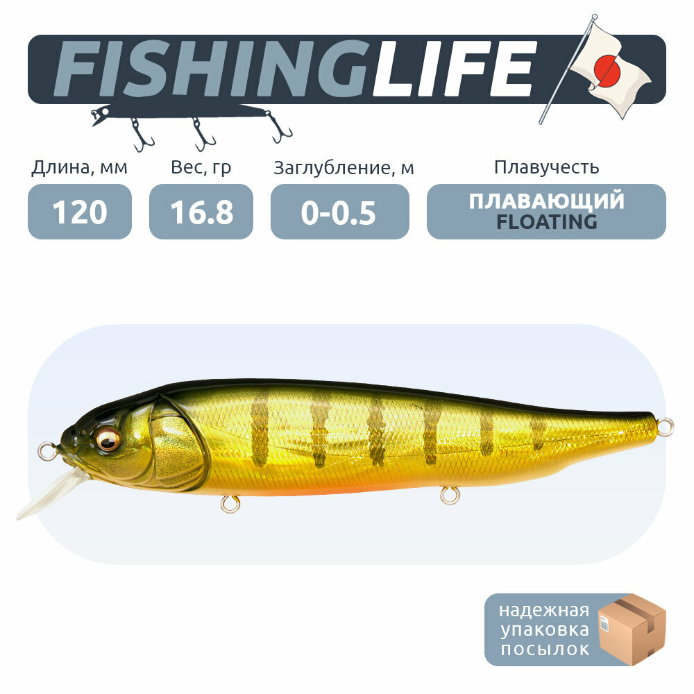 Воблер Megabass Lates Feeding Woofer (120мм 16,8гр) #gg kinkuro perch
