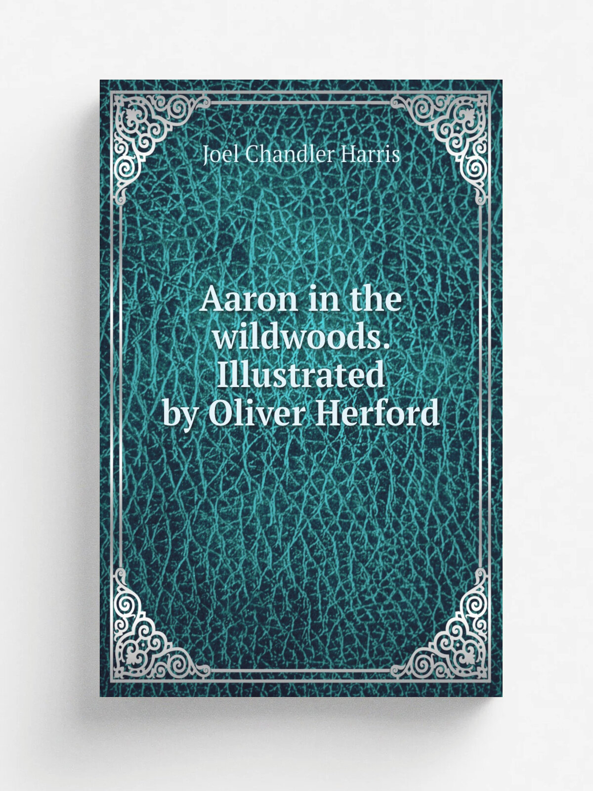 Aaron in the wildwoods. Illustrated by Oliver Herford