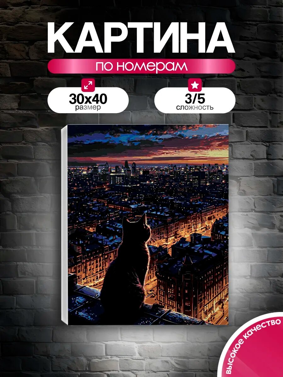 Картина по номерам 30x40 Кот в городе