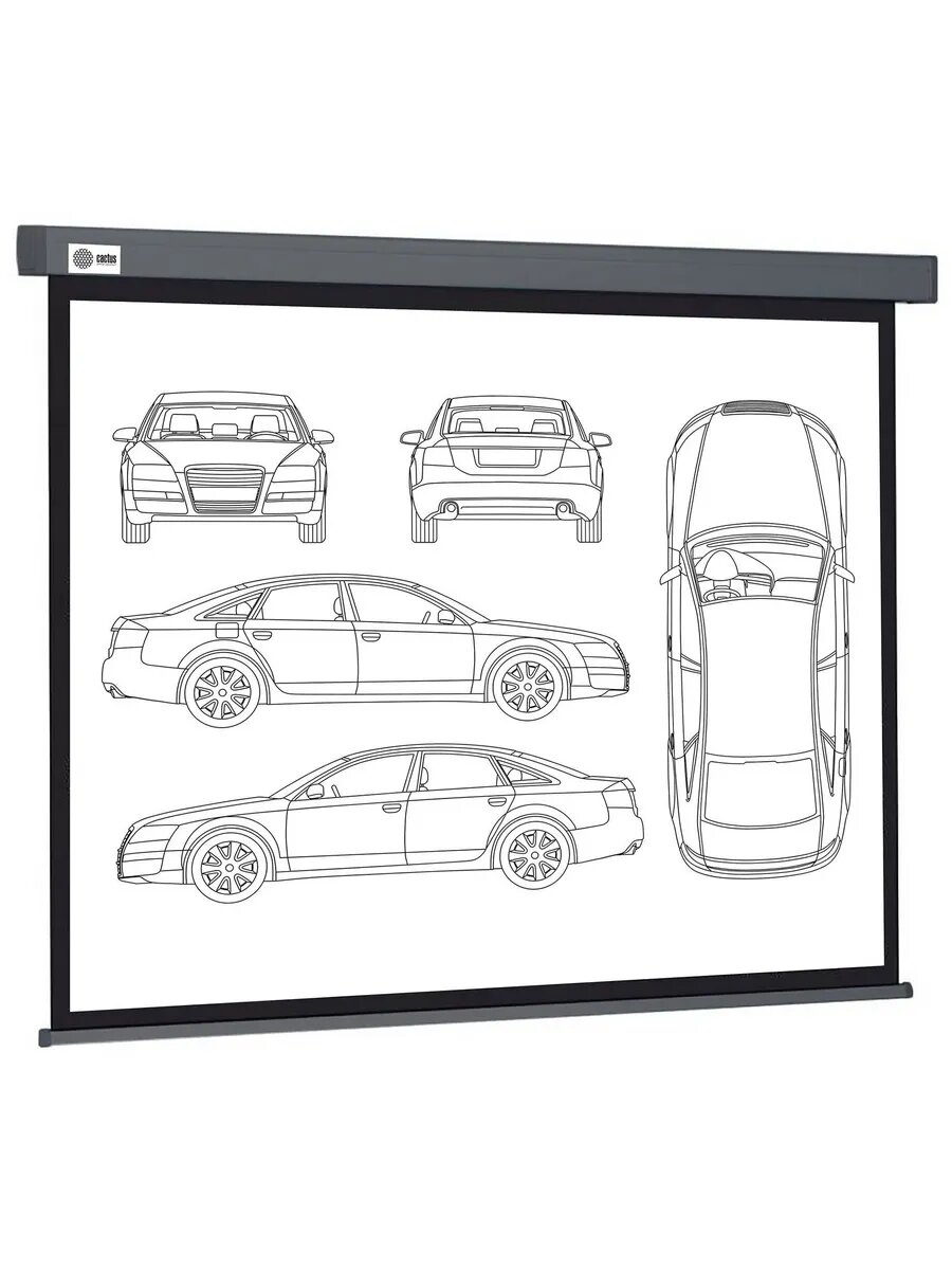 Экран для проектора Cactus Wallscreen CS-PSW-168x299