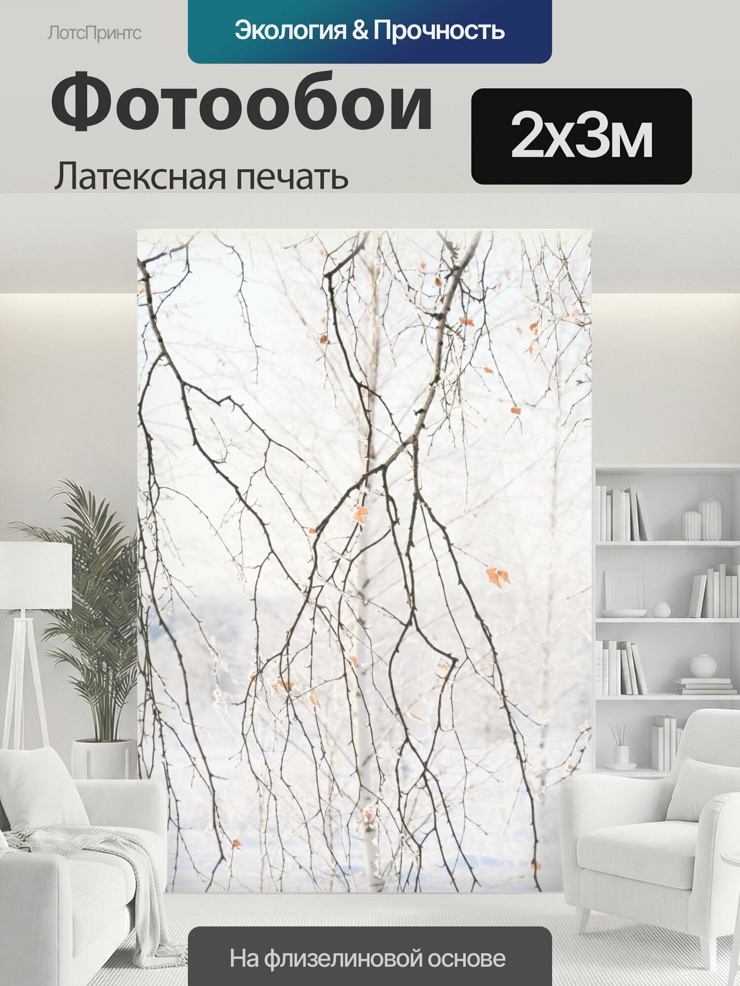 Фотообои моющиеся ударопрочные "Березовые ветки Березовые ветки в тумане березы лес туман ветки зима холод мороз фон размытый фон нервы" 200x300 см. латексная печать