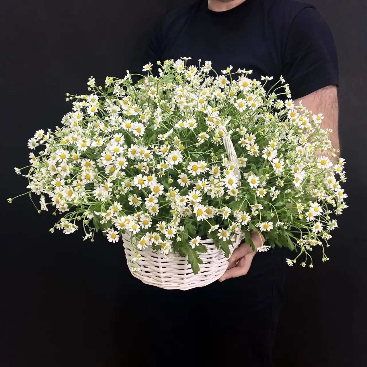 25 ромашек / Композиция из 25 кустовых ромашек в корзине/ Танацетум