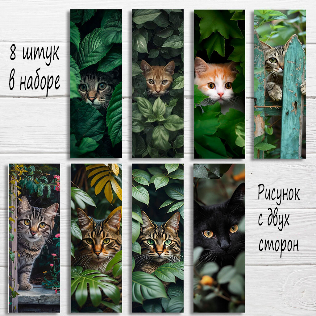 Закладки для книг Котик