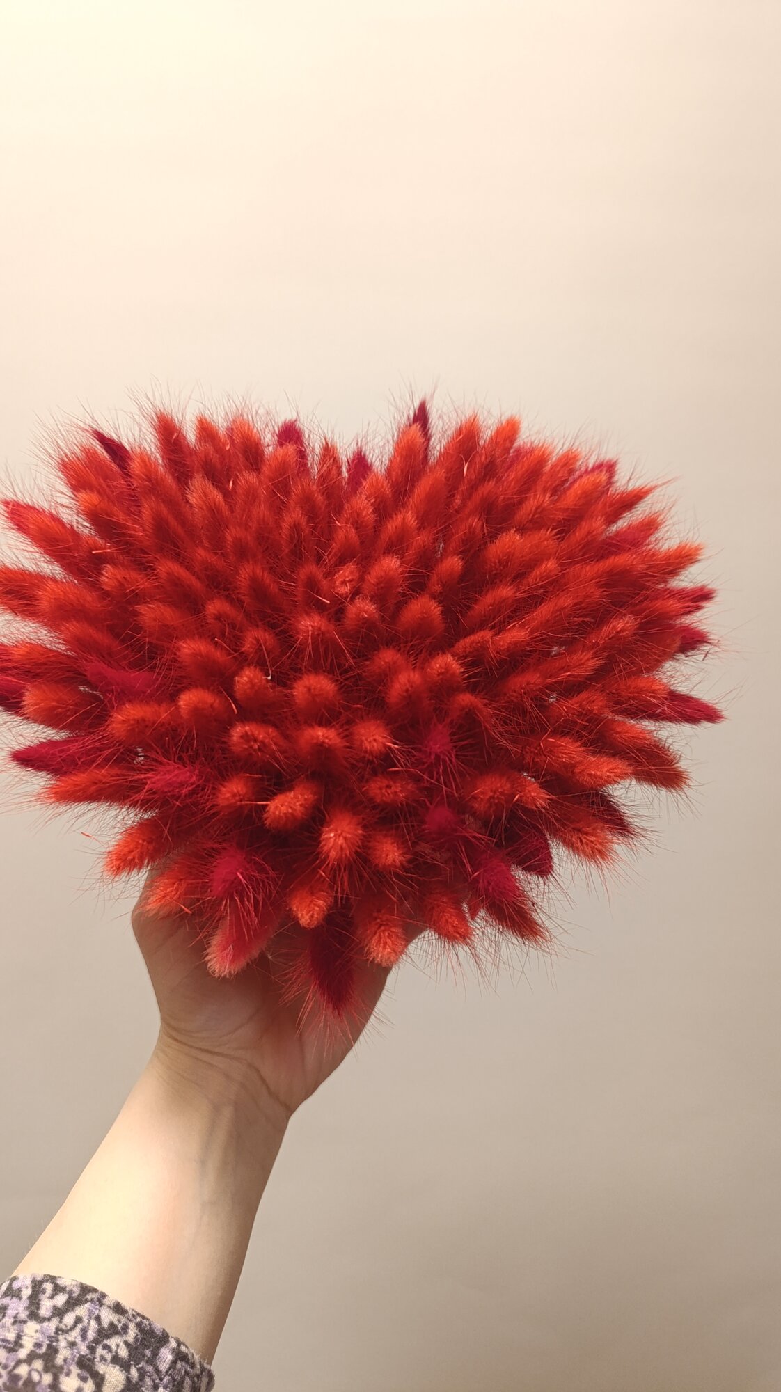 Сердце из лагуруса