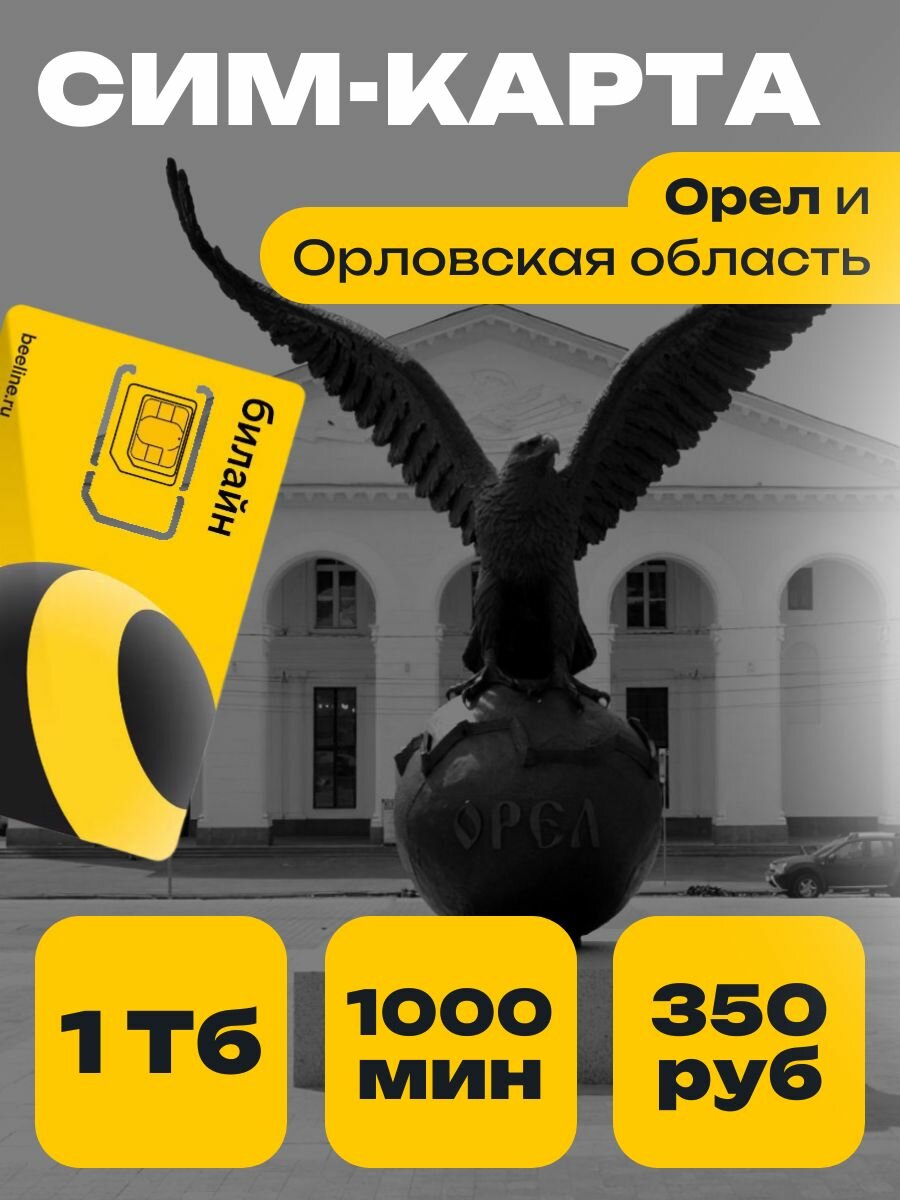 Сим-карта Билайн тариф Эксклюзивный Плюс Орловская область 1000 Гб + 1000 минут за 350 руб.
