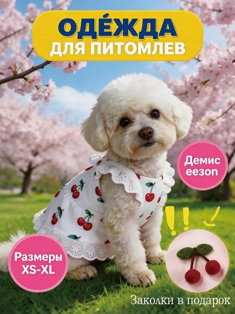 Летняя юбка-пачка для мелких собак в цветочек на резинке, для девочек + в подарок вишневая заколка