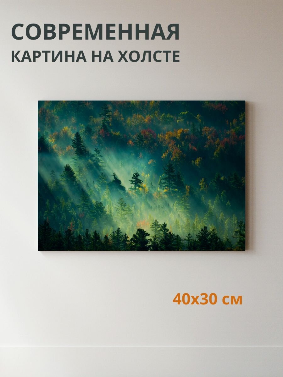 Картина на холсте Туманный лес 40x30 см