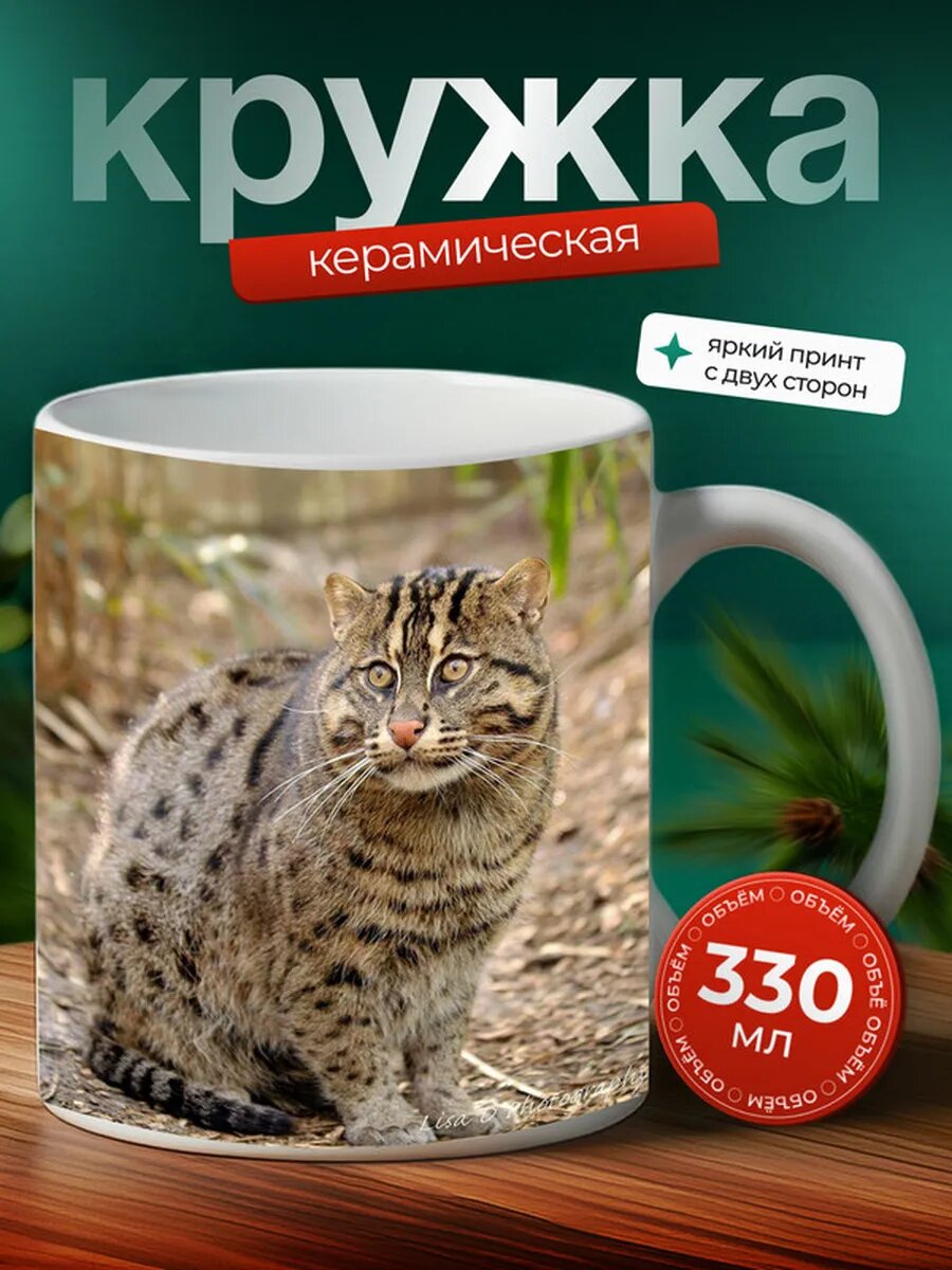 Кружка Висконсинский енотовидный кот 6,