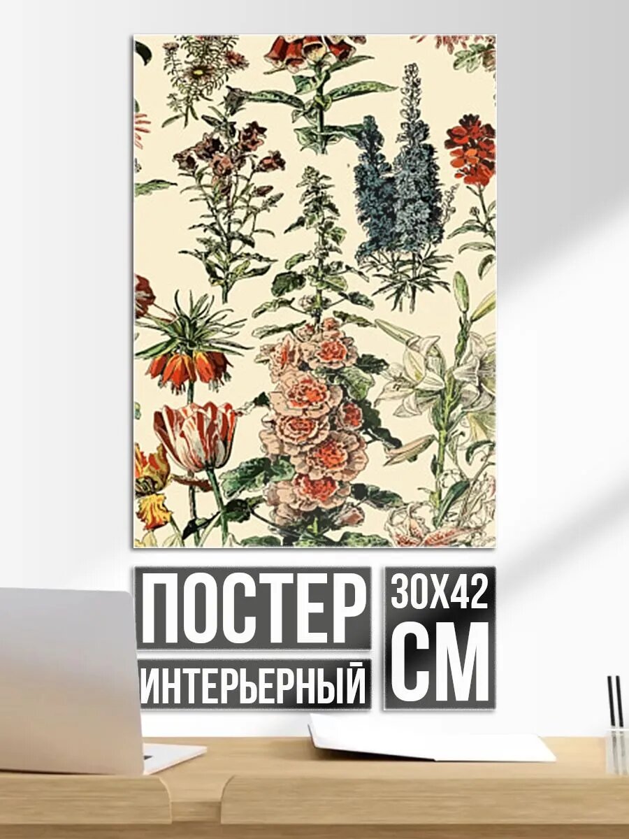 Постер на стену Цветочный гербарий из полевых цветов