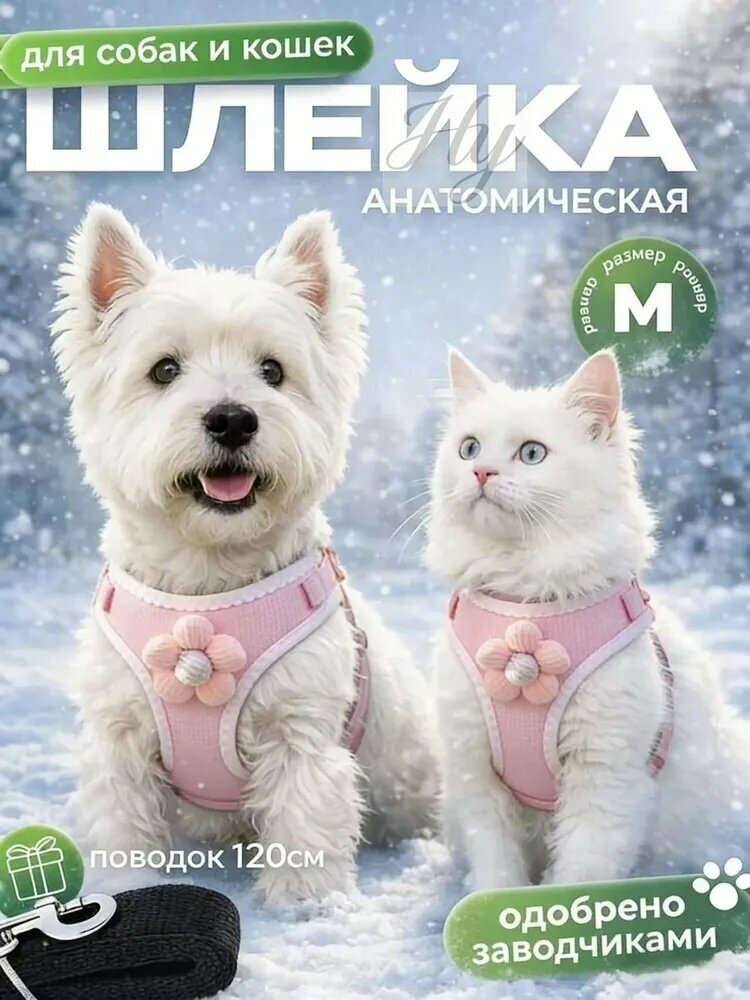 Набор шлейка + поводок для собак мелких пород (той, пудель, чихуахуа), мягкая тканевая с цветком, для прогулок и тренировок