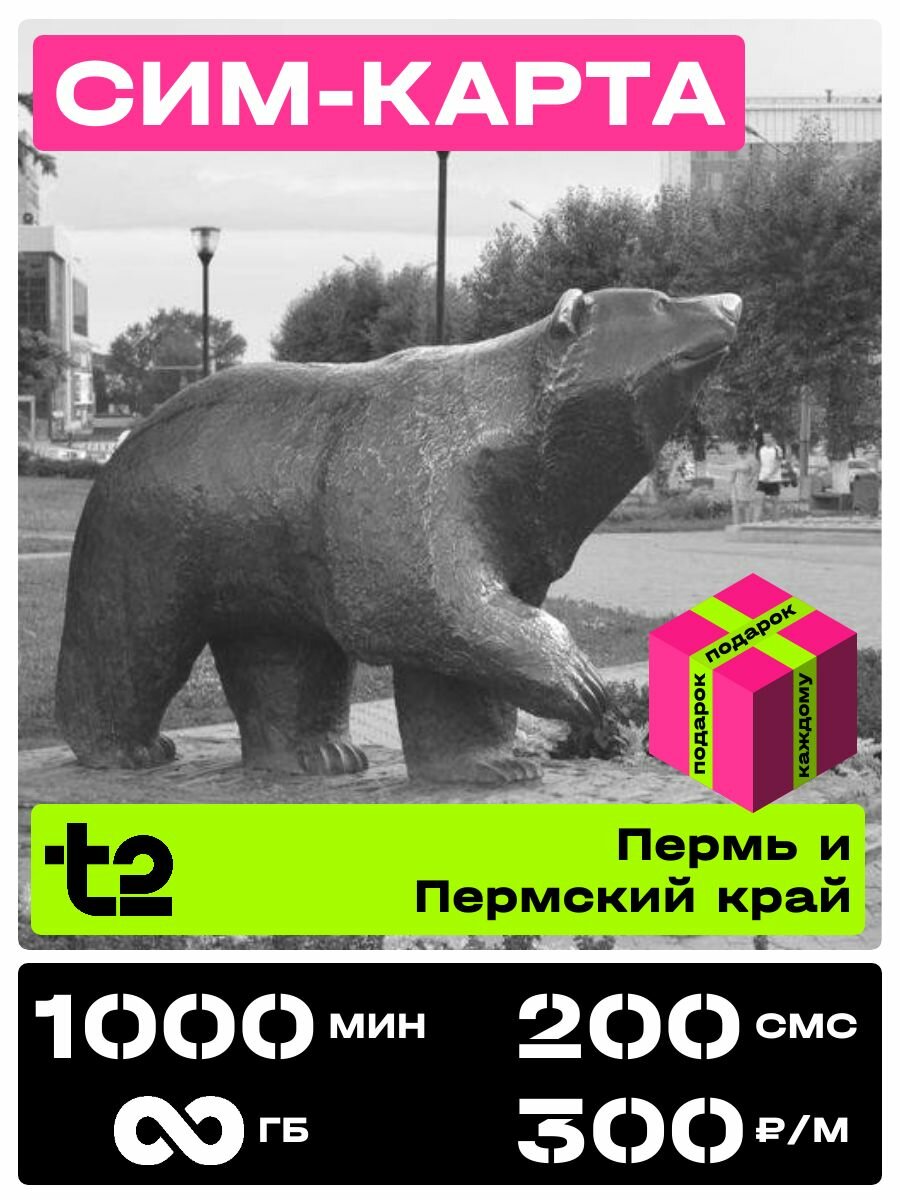 Сим карта теле 2 с безлимитным интернетом. t2 SIM-карта тариф Партнер М Пермский край. 1000 минут за 300 рублей в месяц.