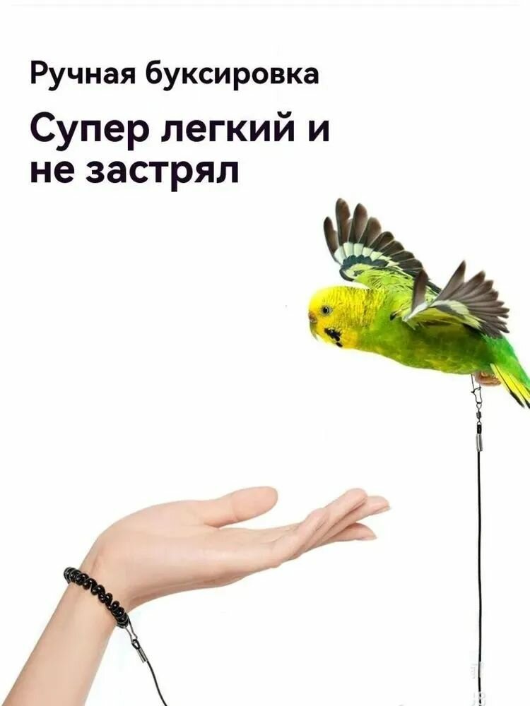 Эксклюзивный ошейник для попугая с поводком и шлейкой