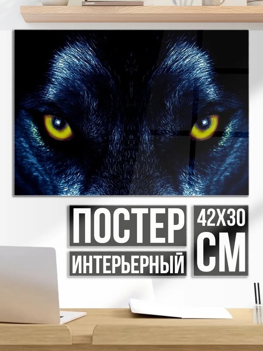 Плакат постер глаза волка