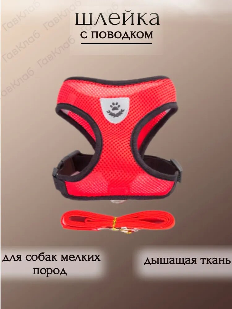 Шлейка