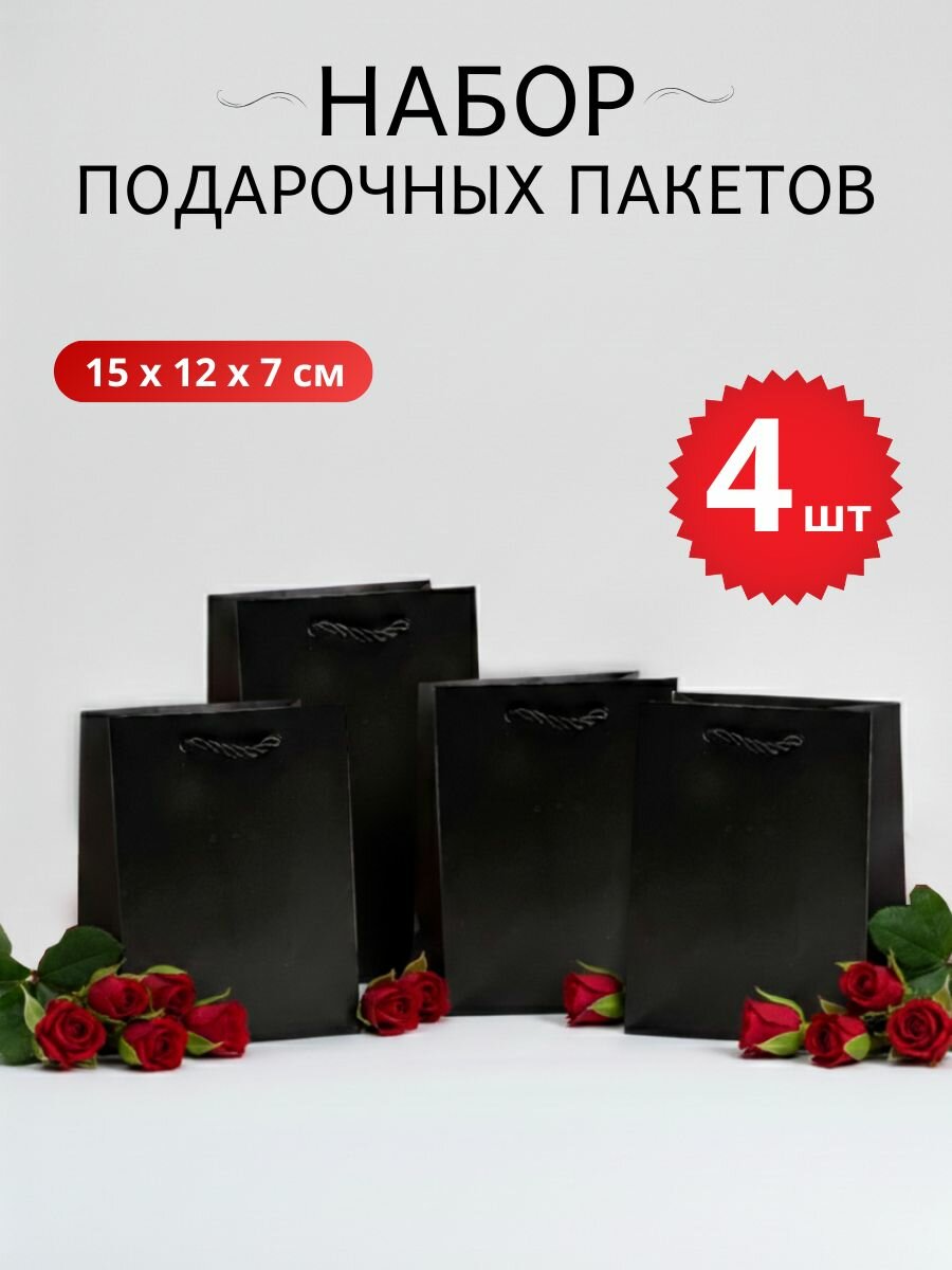 Пакеты подарочные чёрные, набор 4 штуки, подарочная упаковка, праздничные пакеты для мужчины