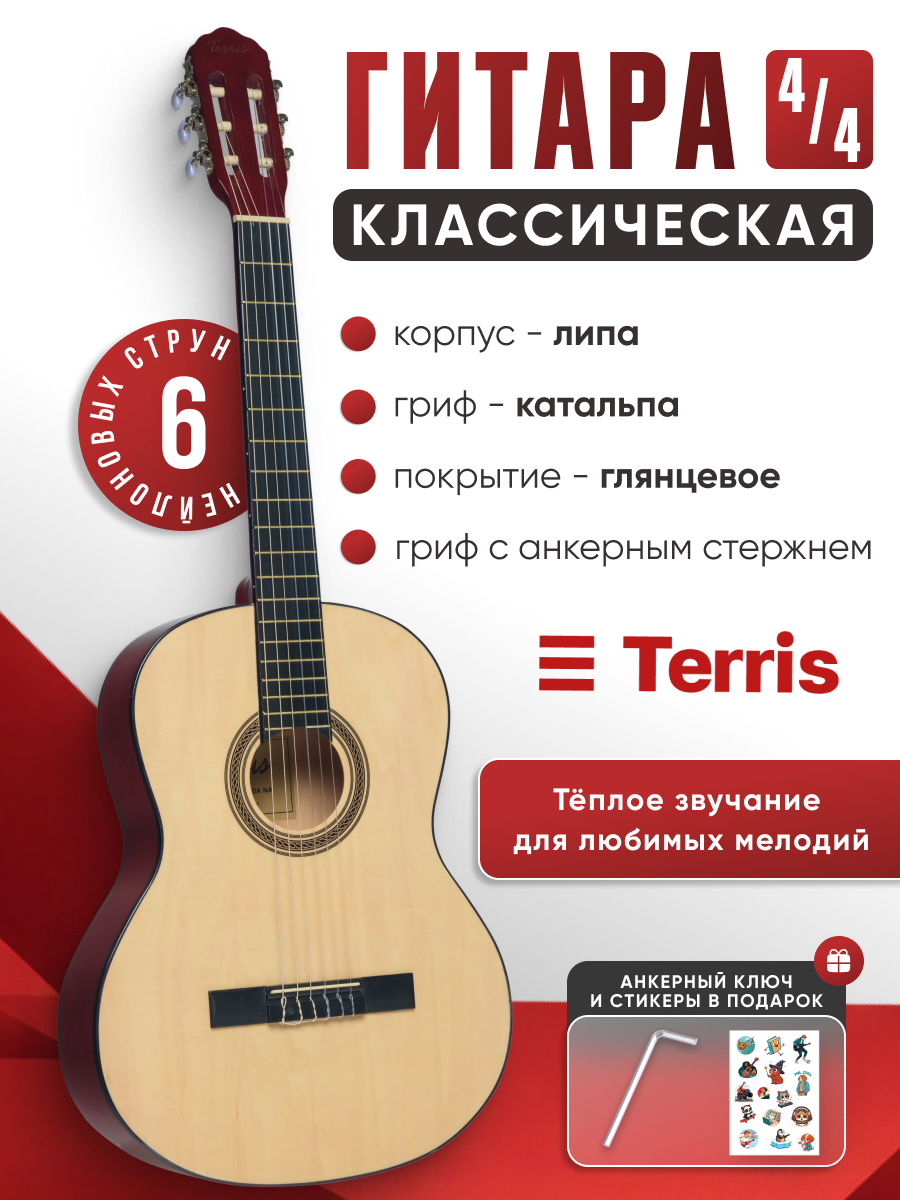 Классическая гитара TERRIS TC-390A NA: 4/4, 39", натуральный глянец, нейлоновые струны
