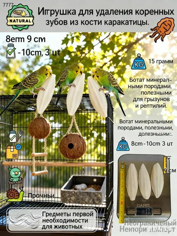 Сепия 9 см 3 штуки, панцирь каракатицы для улиток, черепах, попугаев, рептилий, корм для птиц