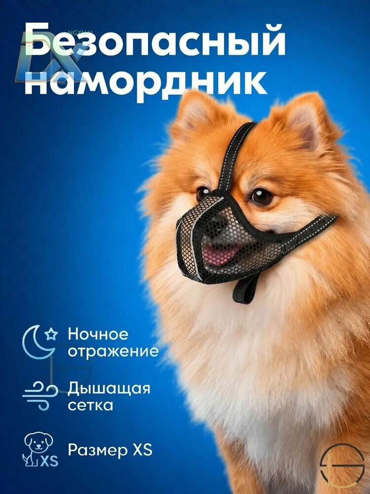 Намордник для собак мелких пород светоотражающий, дышащая сетка от укусов и подбора, размер XS (шпиц, чихуахуа)