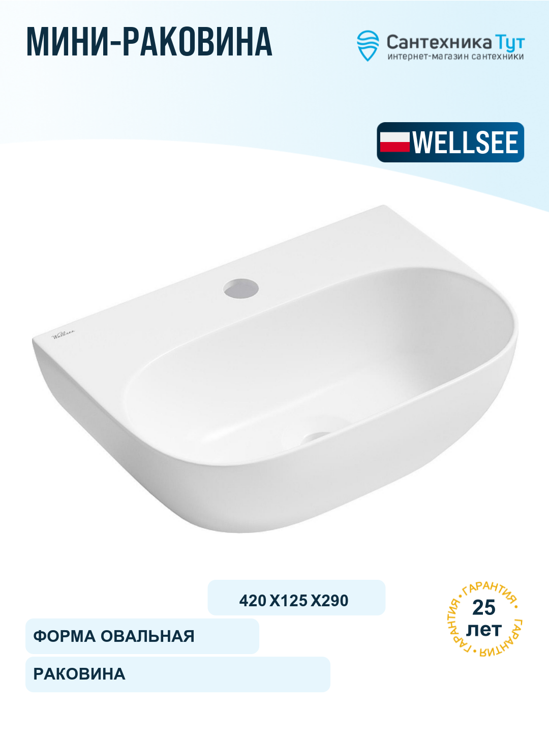 Раковина Wellsee WC Area 42 331803000 цвет Белый глянцевый