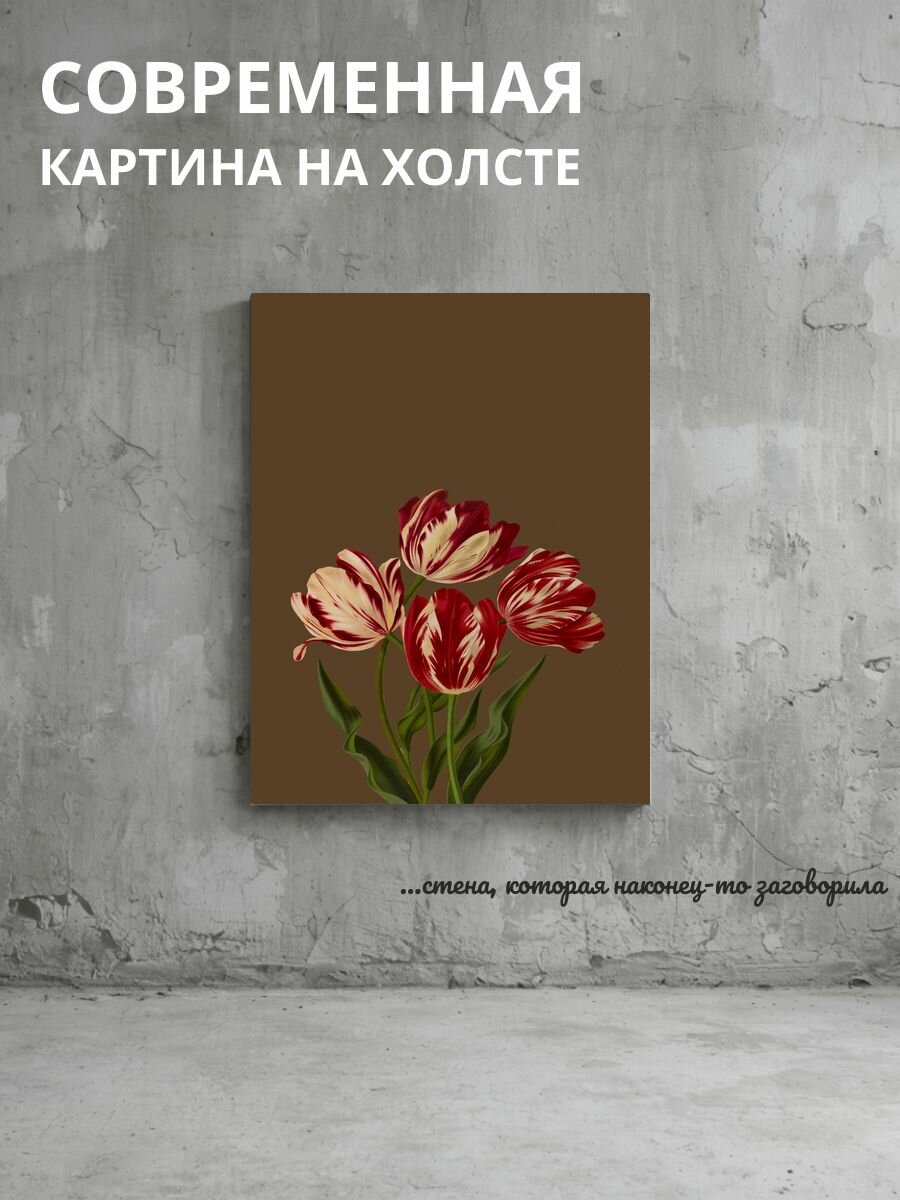 Картина на холсте Тюльпаны 30x40 см