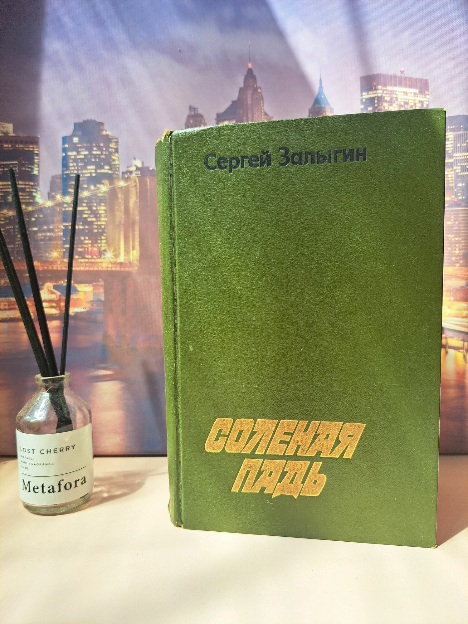Сергей Залыгин. Соленая падь