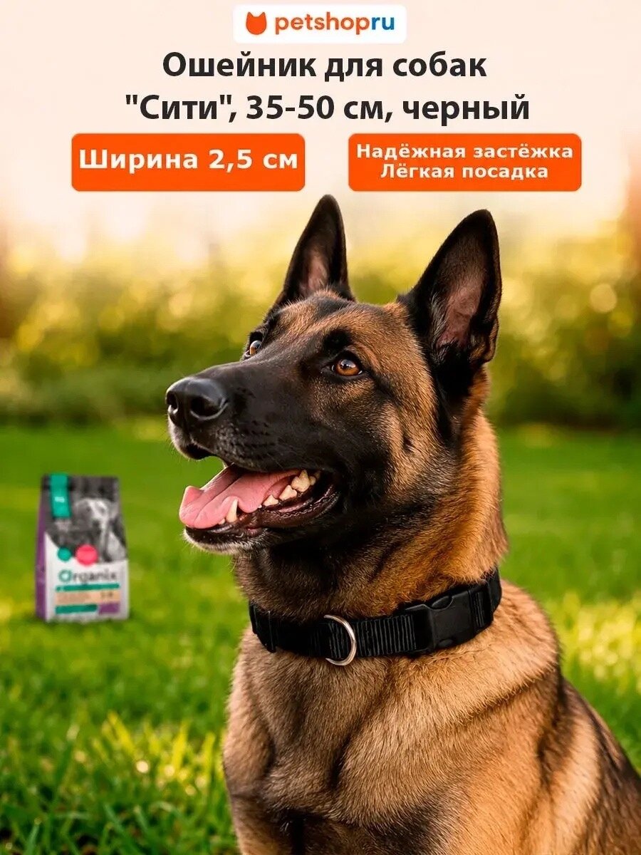 Yami Yami амуниция Ошейник "Сити" для собак, черный, 35-50 см