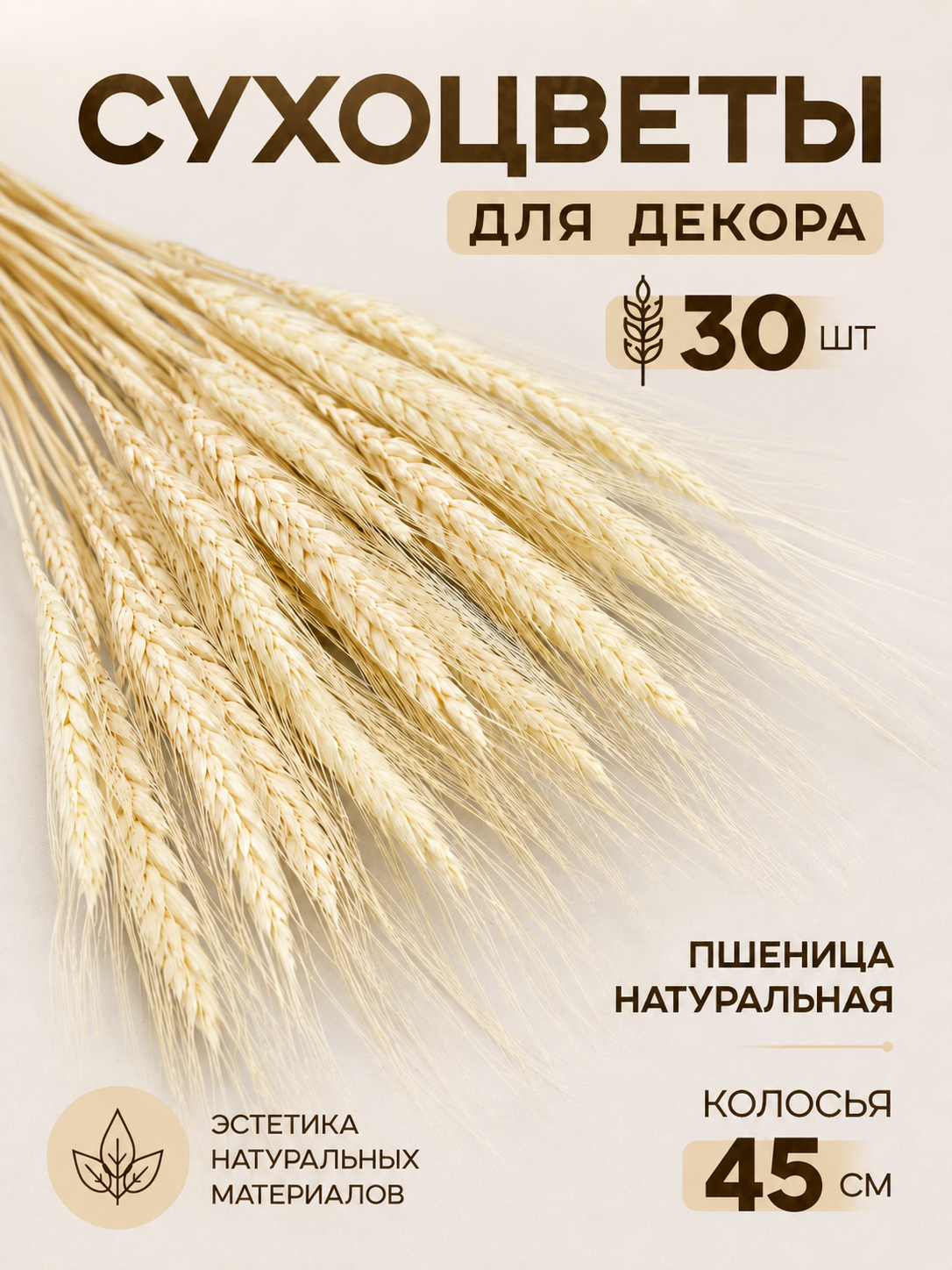 Белые сухоцветы Sunflowers "Белый колос", натуральный сухоцвет, высота 45см, 30 колосков
