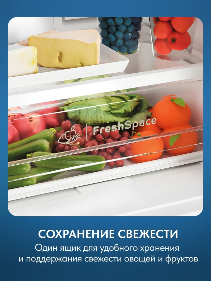 Холодильник Indesit ITR 4200 E — фото 1