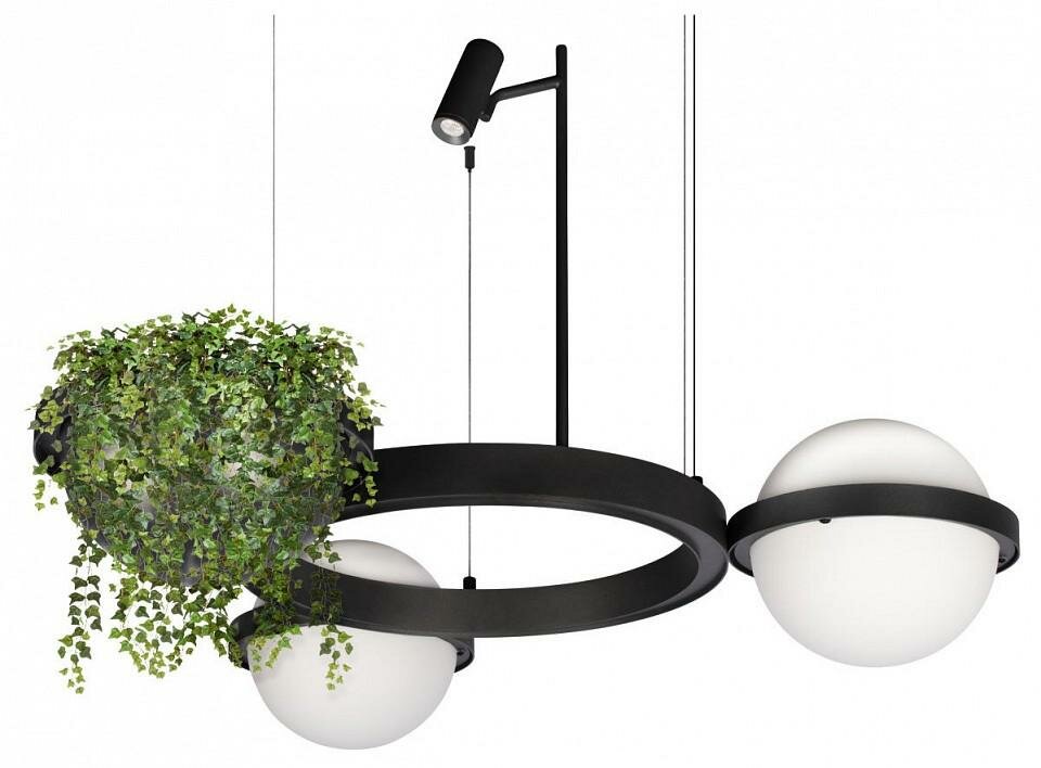 Подвесной светильник Loft it Jard1n 10121 2 цвет плафона подвески Белый, цвет арматуры Черный