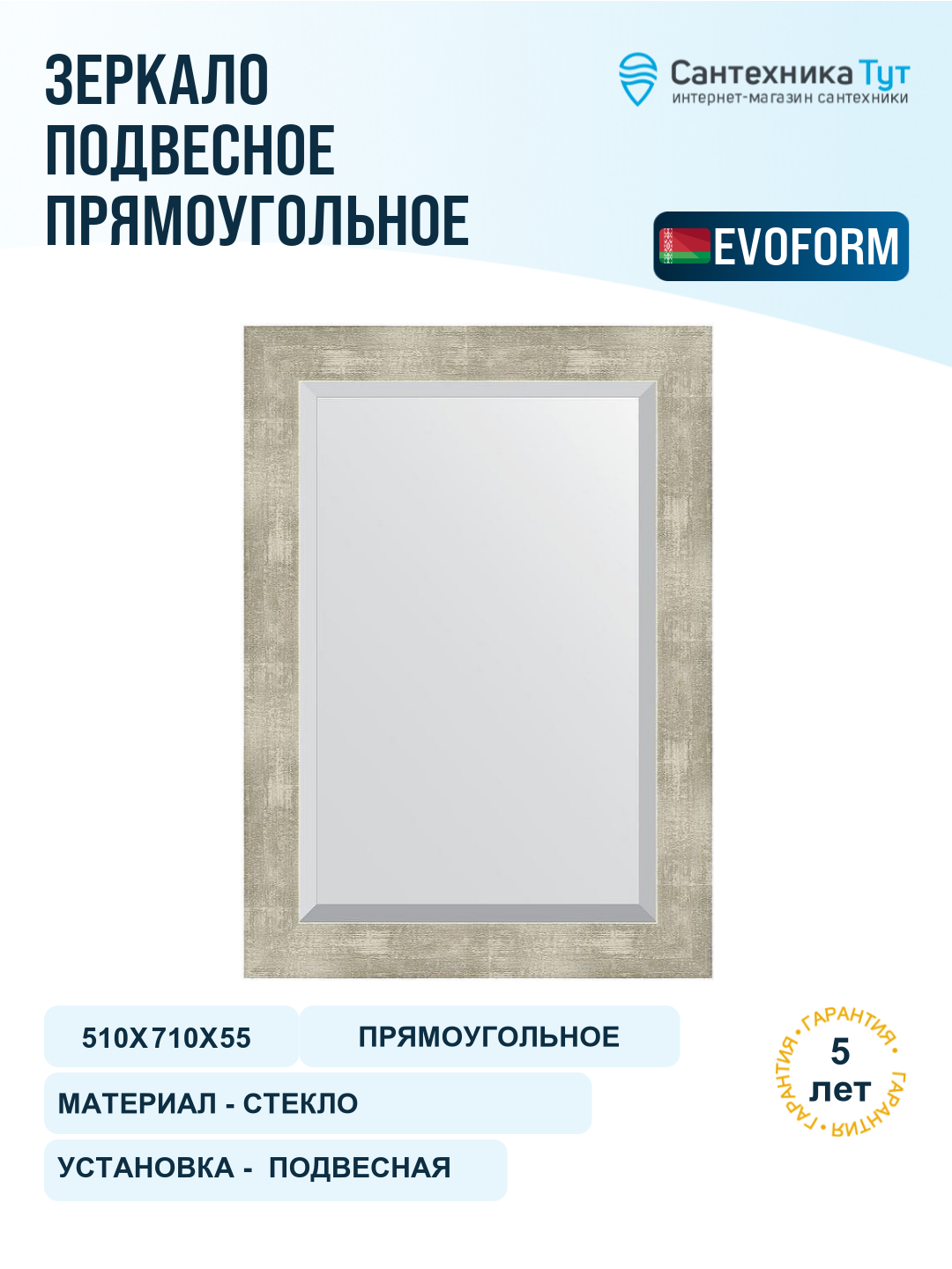 Зеркало Evoform Exclusive 71х51 BY 1129 с фацетом в багетной раме - Алюминий 61 мм