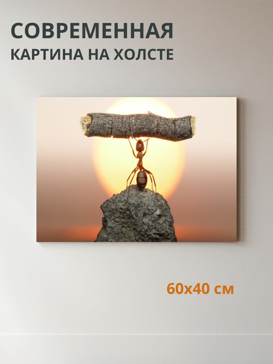 Картина на холсте Муравьи 60x40 см