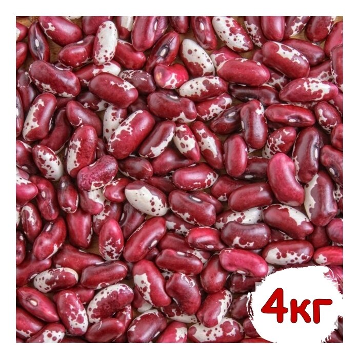 Фасоль Ласточка 4 кг, Фасоль очищенная натуральная, Вегетарианский продукт, Vegan