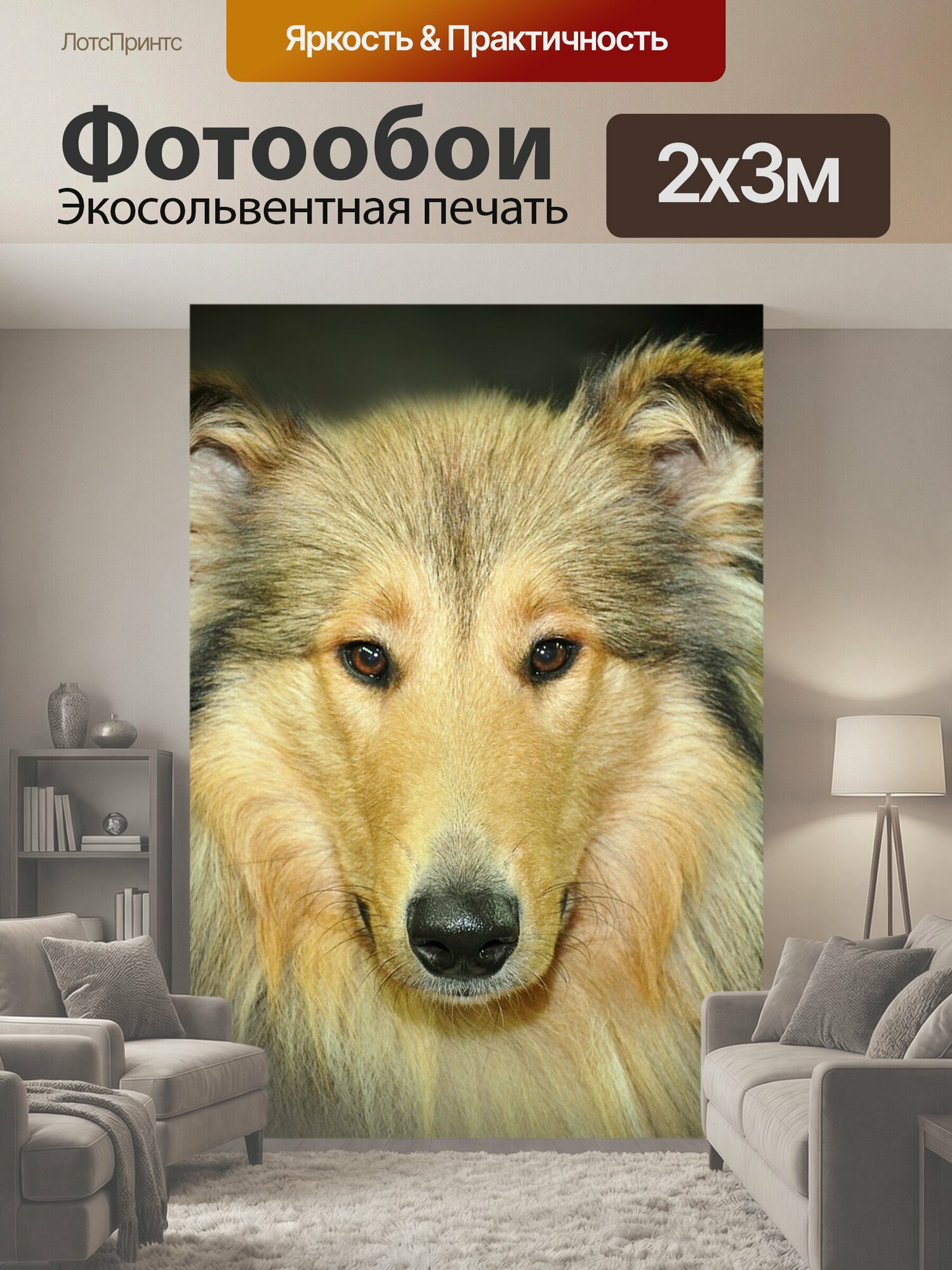 Фотообои "Собака, грубый, колли" 200x300 см. экосольвентная печать