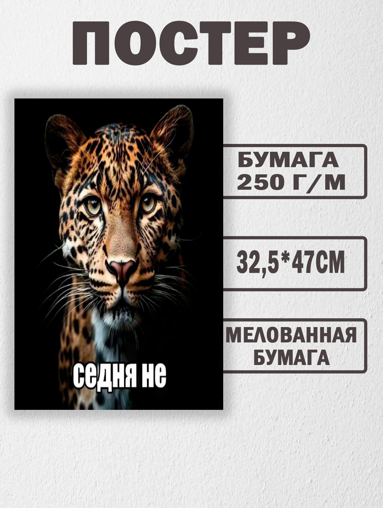 Плакат-мем "Сегодня нет" — фото 1