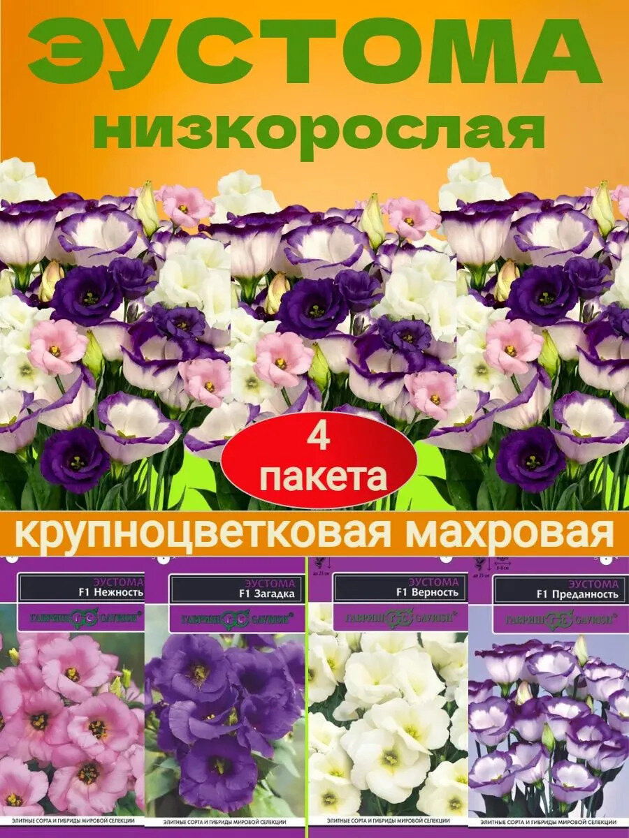 Эустома низкорослая горшечная семена 4 пакета