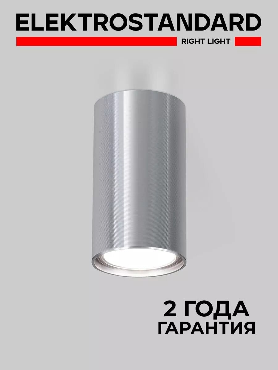 Спот / Накладной потолочный светильник Elektrostandard 1081 GU10 SCH сатин хром