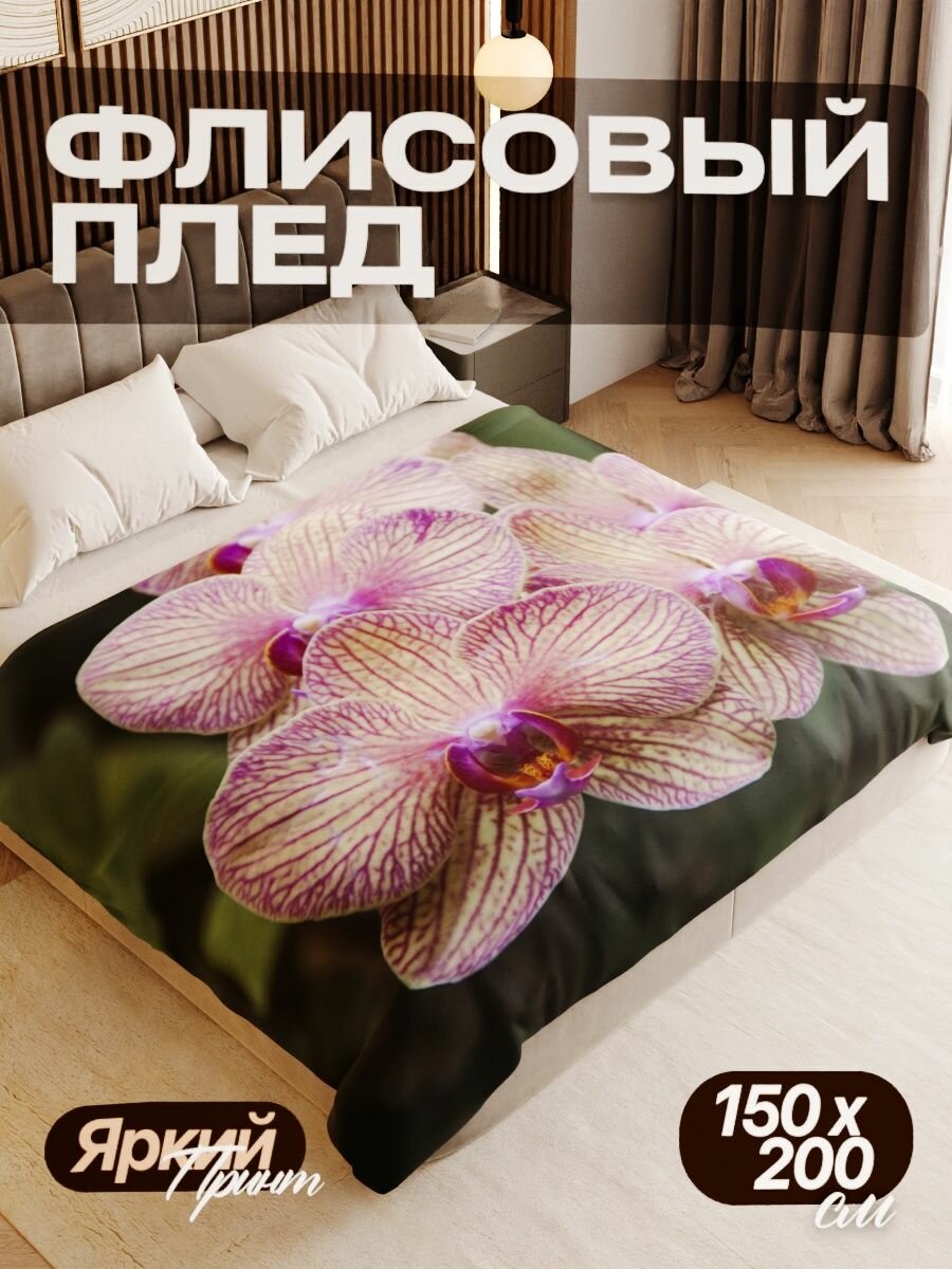 Плед флисовый 150х200 см мягкий теплый покрывало для дома