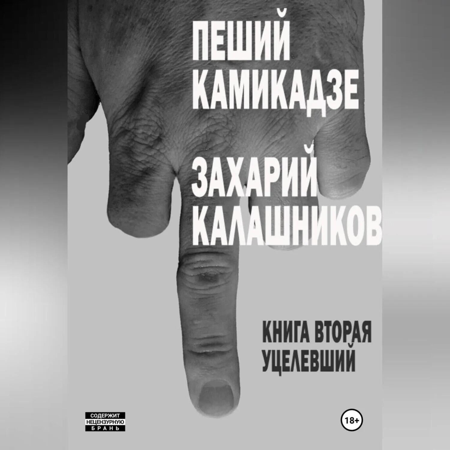 Пеший камикадзе. Книга вторая. Уцелевший [Аудиокнига]