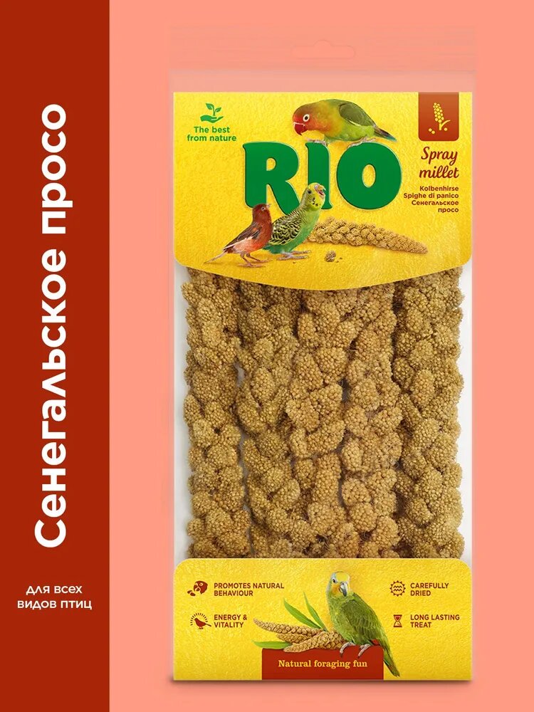 RIO Сенегальское просо в колосьях. Лакомство для всех видов птиц, 100 г