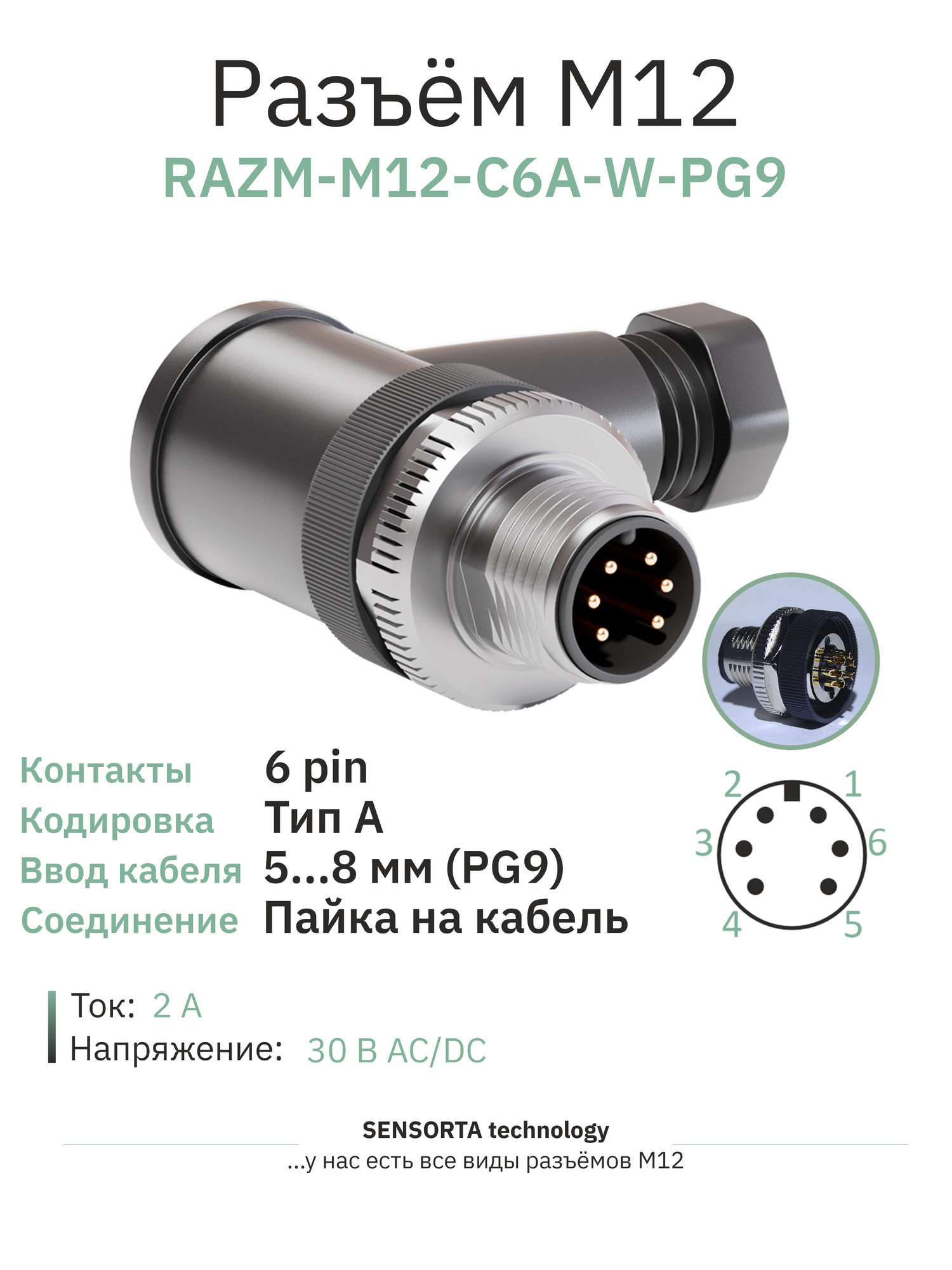 RAZM-M12-C6A-W-PG9 разъём М12 6 pin угловой / вилка (папа) / PG9 (5-8 мм диаметр под кабель)