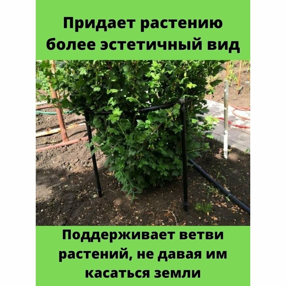 Кустодержатель Комплект-Агро Смородина+, чер KA0455 — фото 1