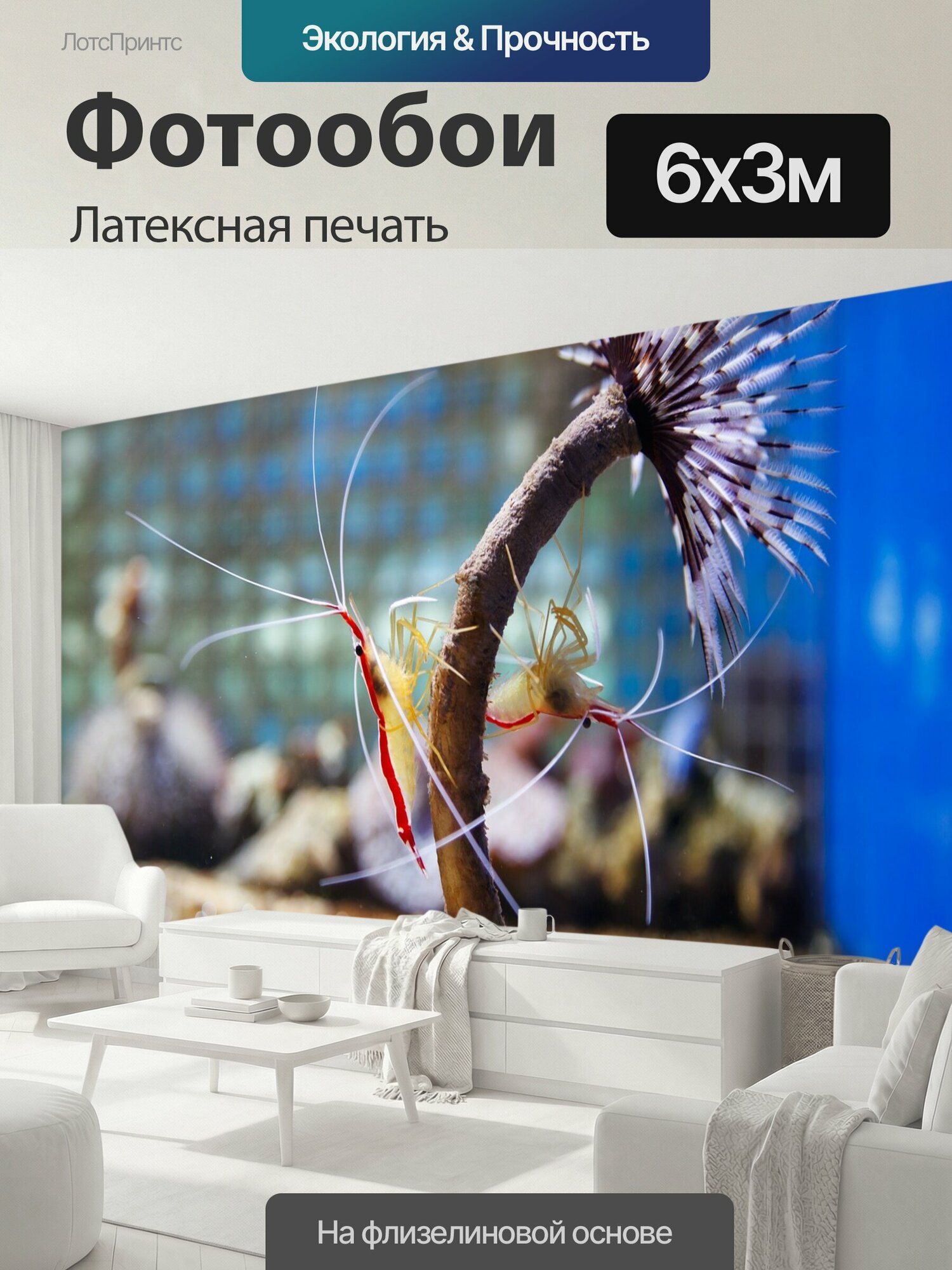Фотообои моющиеся ударопрочные "Северный, очиститель, креветка" 600x300 см. латексная печать