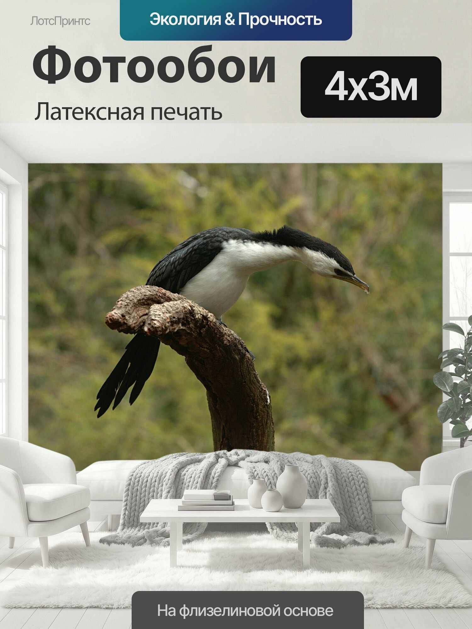 Фотообои моющиеся ударопрочные "Баклан, птица, конечность" 400x300 см. латексная печать