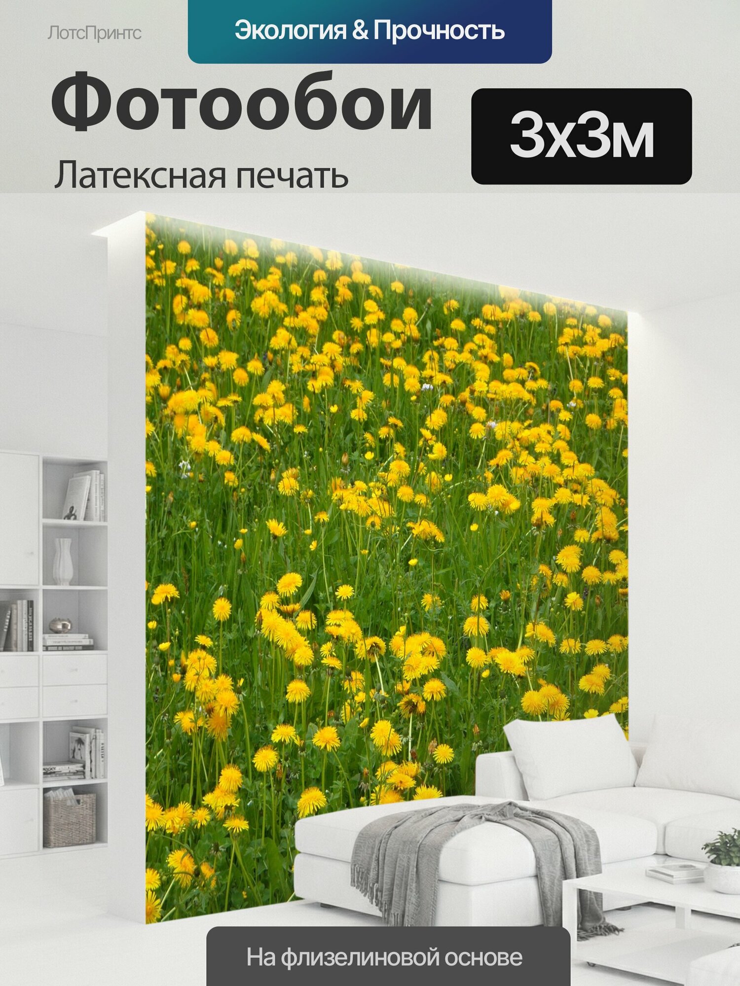 Фотообои моющиеся ударопрочные "Одуванчик, одуванчика луг, природа" 300x300 см. латексная печать