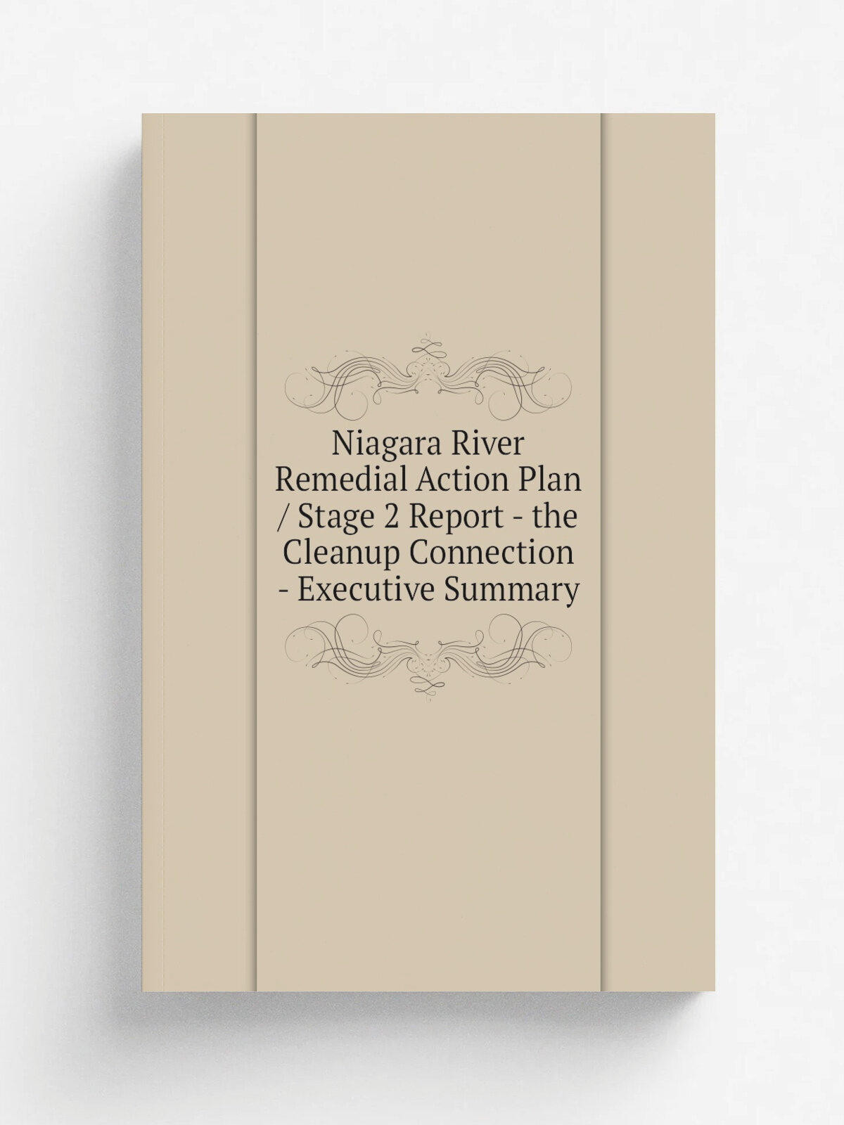 Niagara River Remedial Action Plan / Stage 2 Report - the Cleanup Connection - Executive Summary