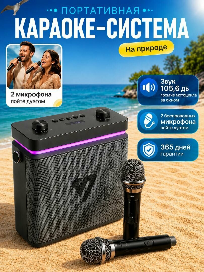 Караоке система с двумя беспроводными микрофонами серая
