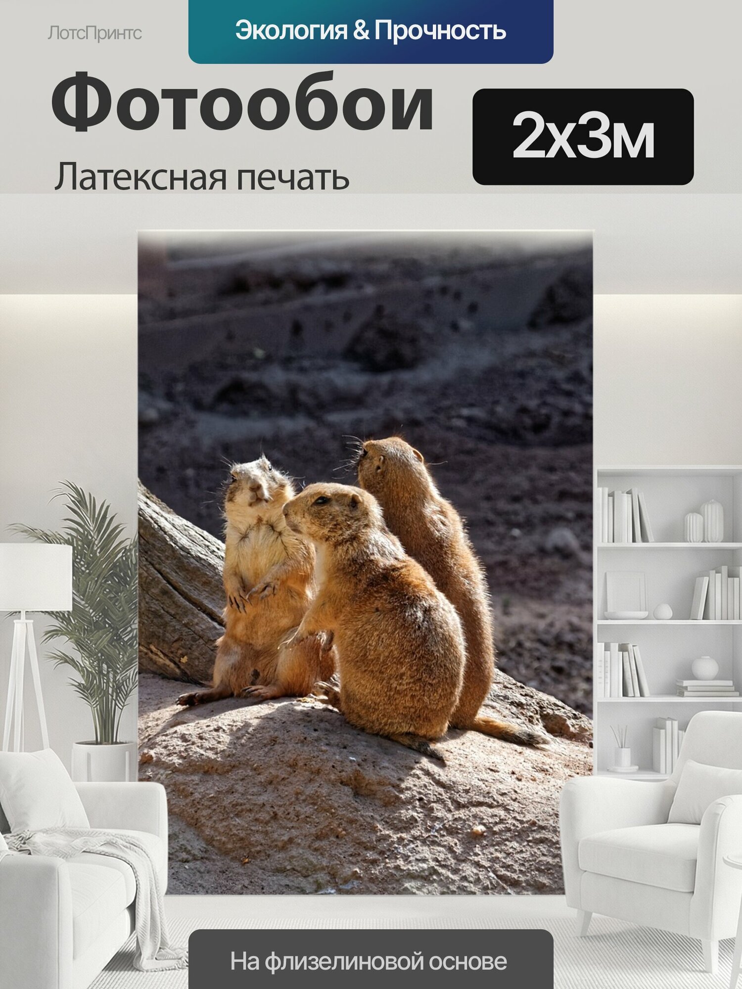 Фотообои моющиеся ударопрочные "Суслик, животное, луговые собачки" 200x300 см. латексная печать