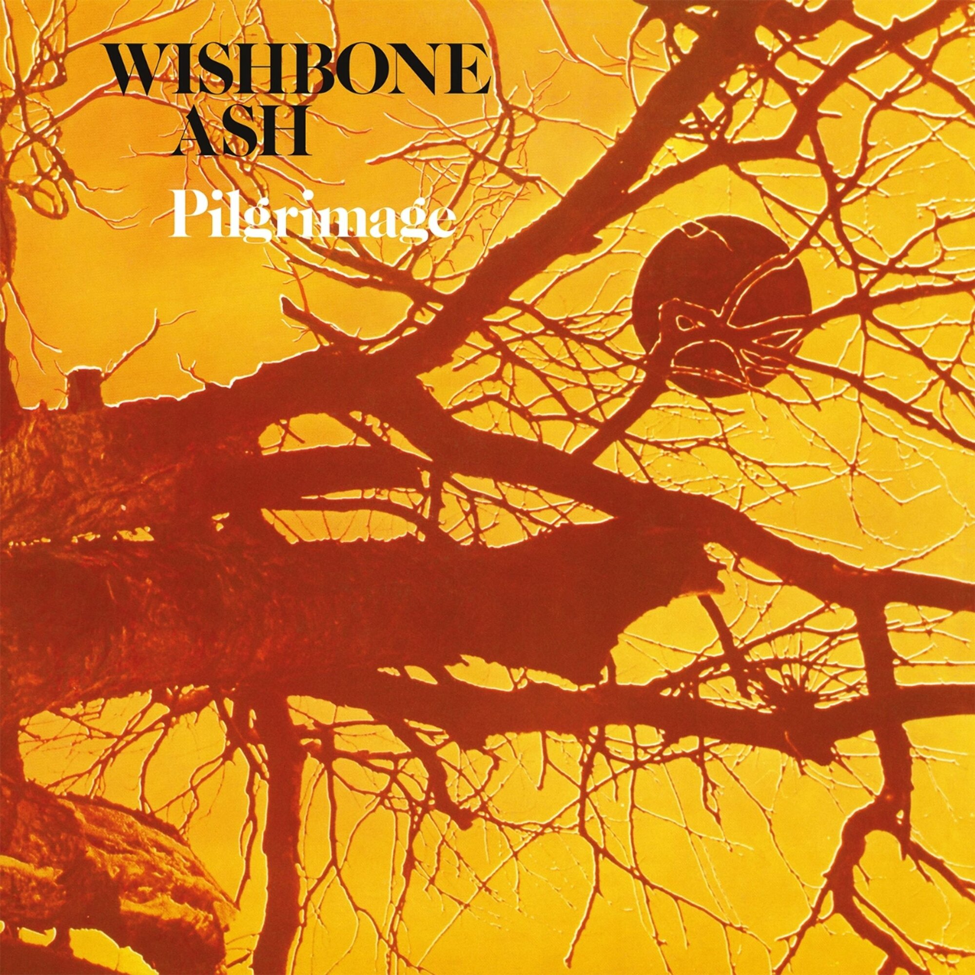 Виниловая пластинка Wishbone Ash - Pilgrimage (LP) 2026, Gatefold