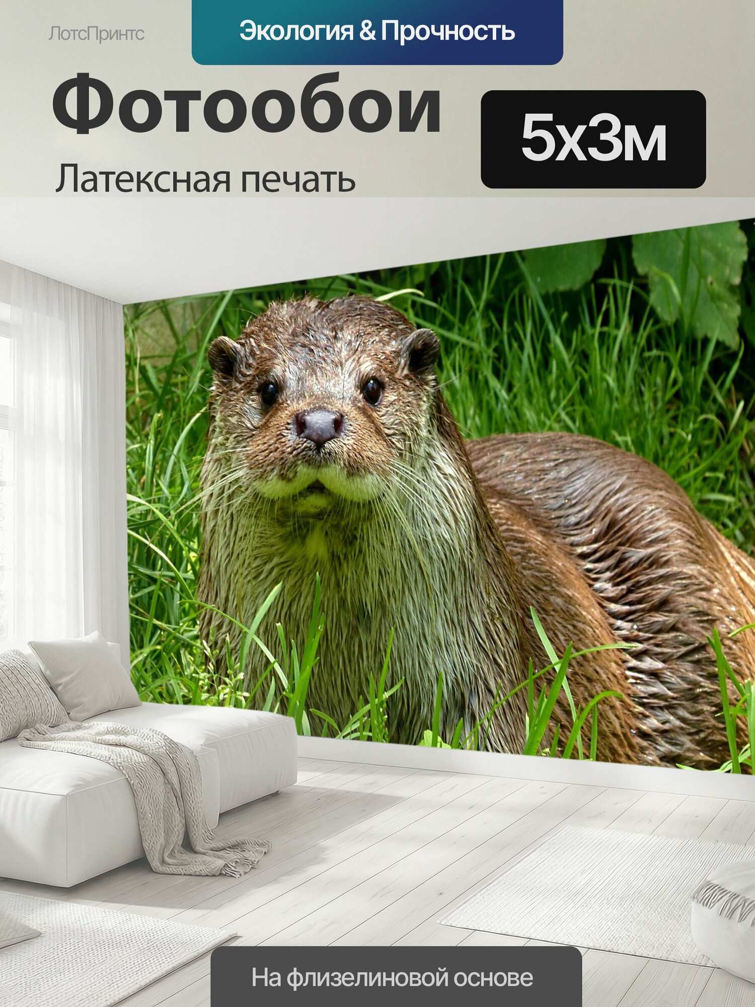 Фотообои моющиеся ударопрочные "Выдра, лутра, животное" 500x300 см. латексная печать